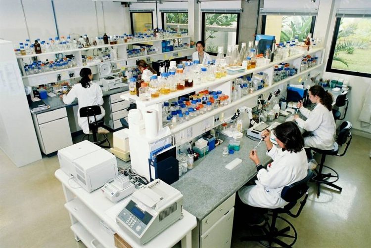 Funcap lança edital com R$ 3 milhões para contratação de projetos de ...