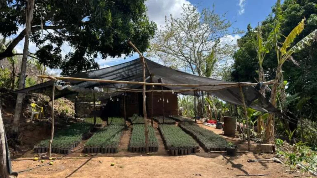 Site Miséria - Aconteceu, Tá no Miséria